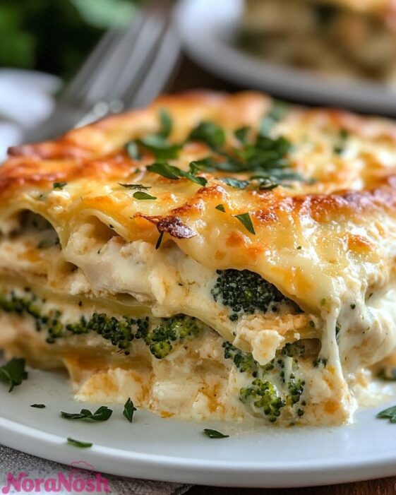 Broccoli Cheddar Chicken Lasagna