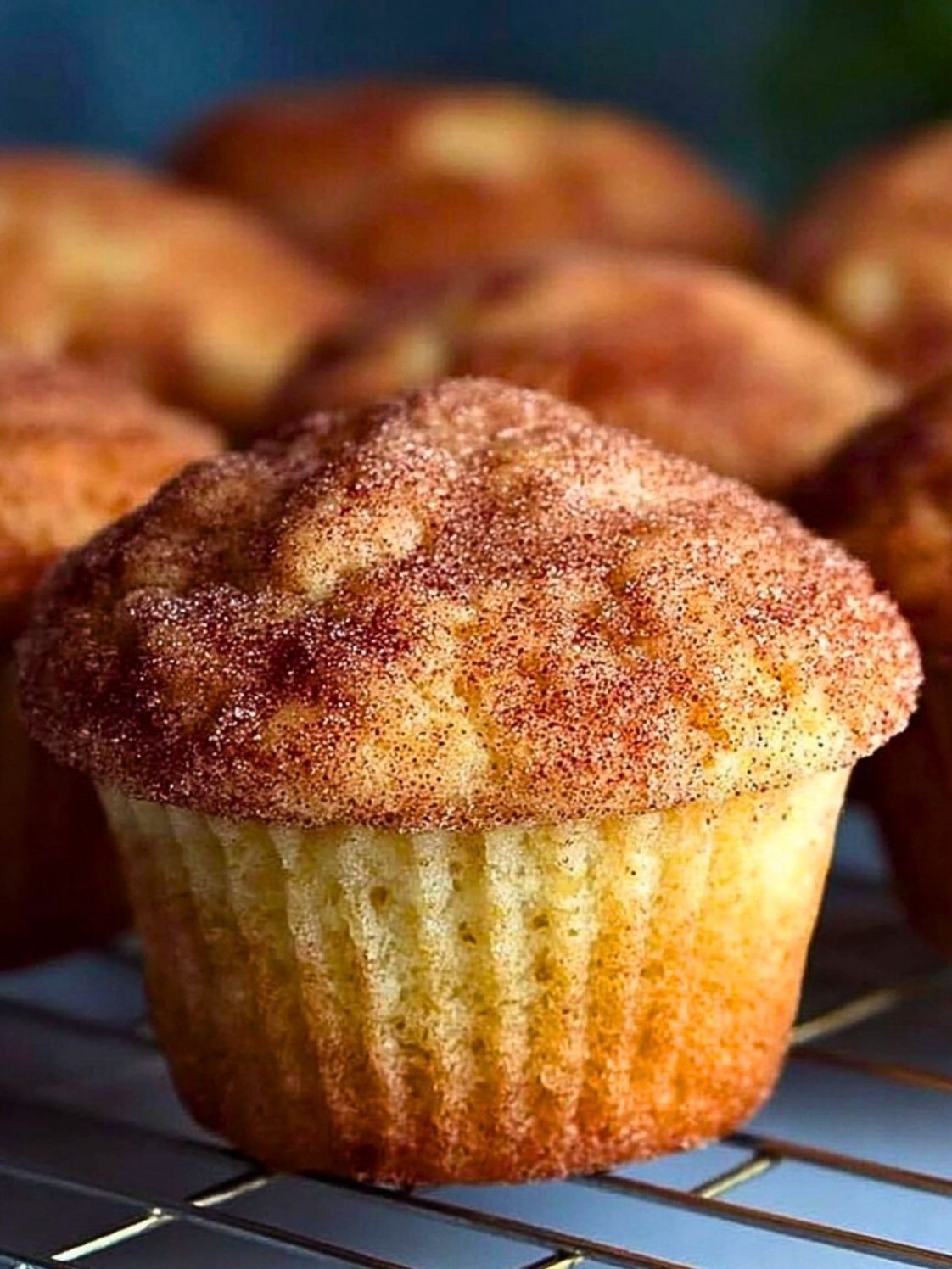 Snickerdoodle Muffins Recipe