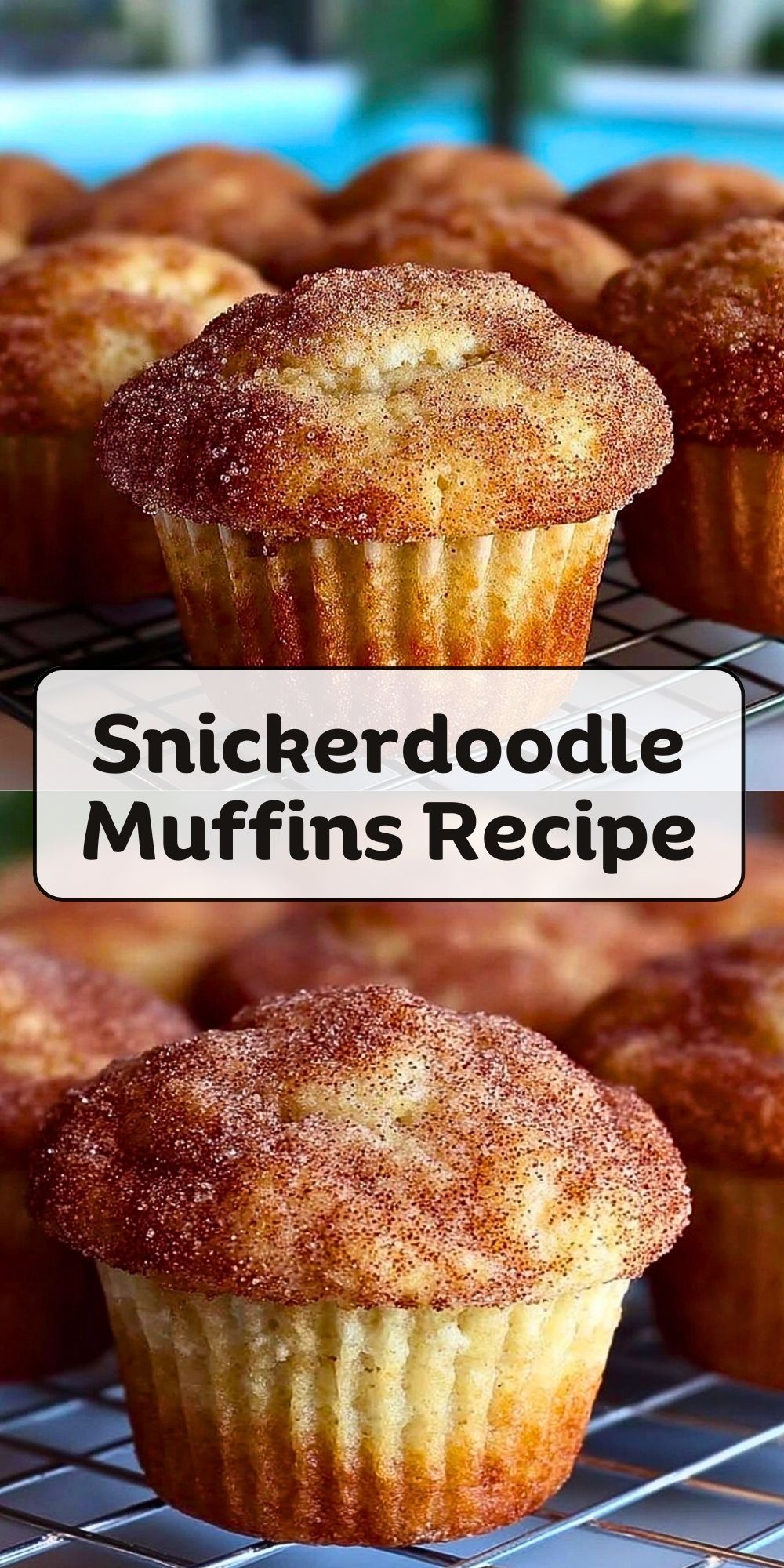 Snickerdoodle Muffins Recipe