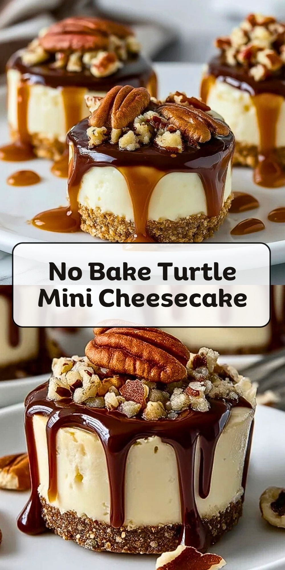 No Bake Turtle Mini Cheesecake